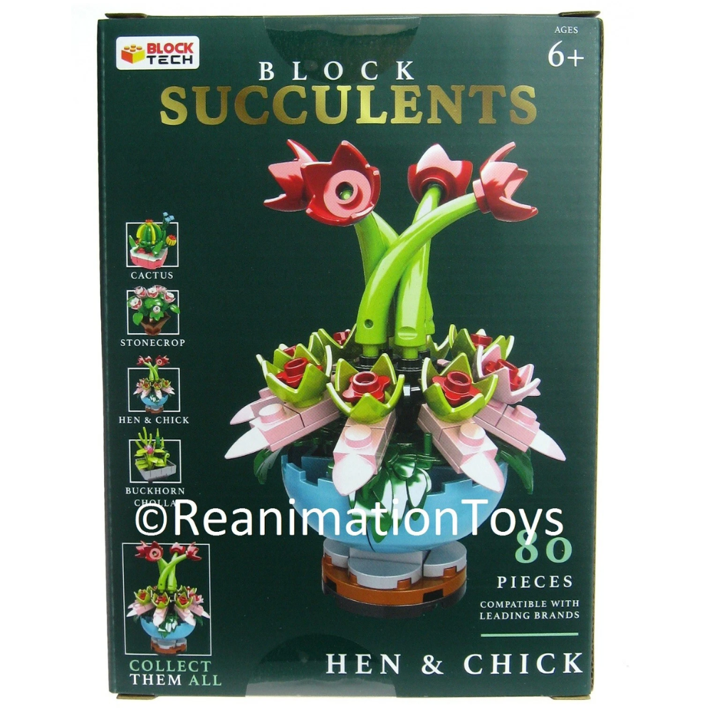 Block Succulents - Hen & Chick - Block Tech Blocks in Bloom – Toys4you