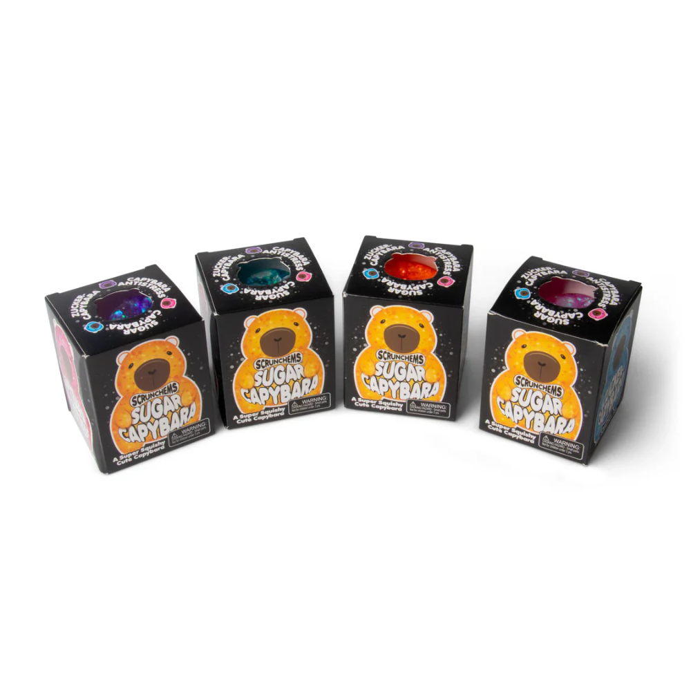 Scrunchems Sugar Capybara – Toys4you