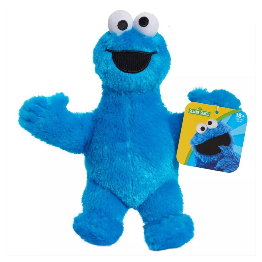 Sesame Street Friends Cookie Monster Plush – Toys4you